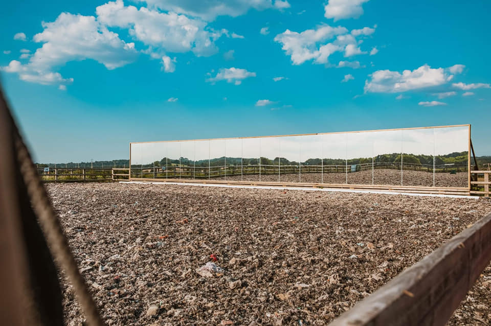 Livery – Stash Stables Livery & Dog Park