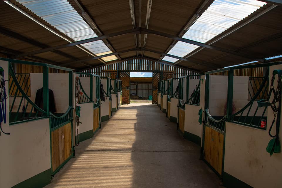 Livery – Stash Stables Livery & Dog Park