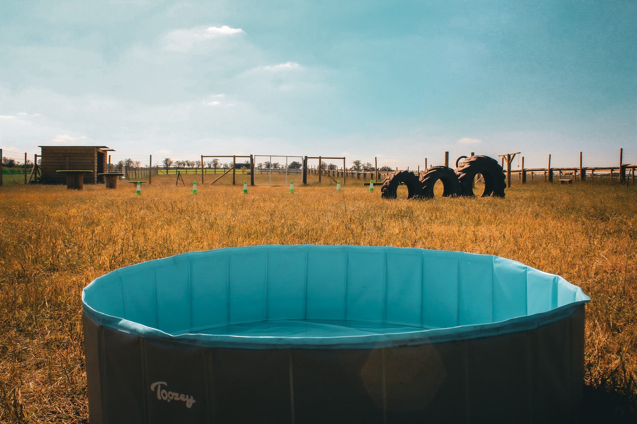 Dog Park (45 min) – Stash Stables Livery & Dog Park