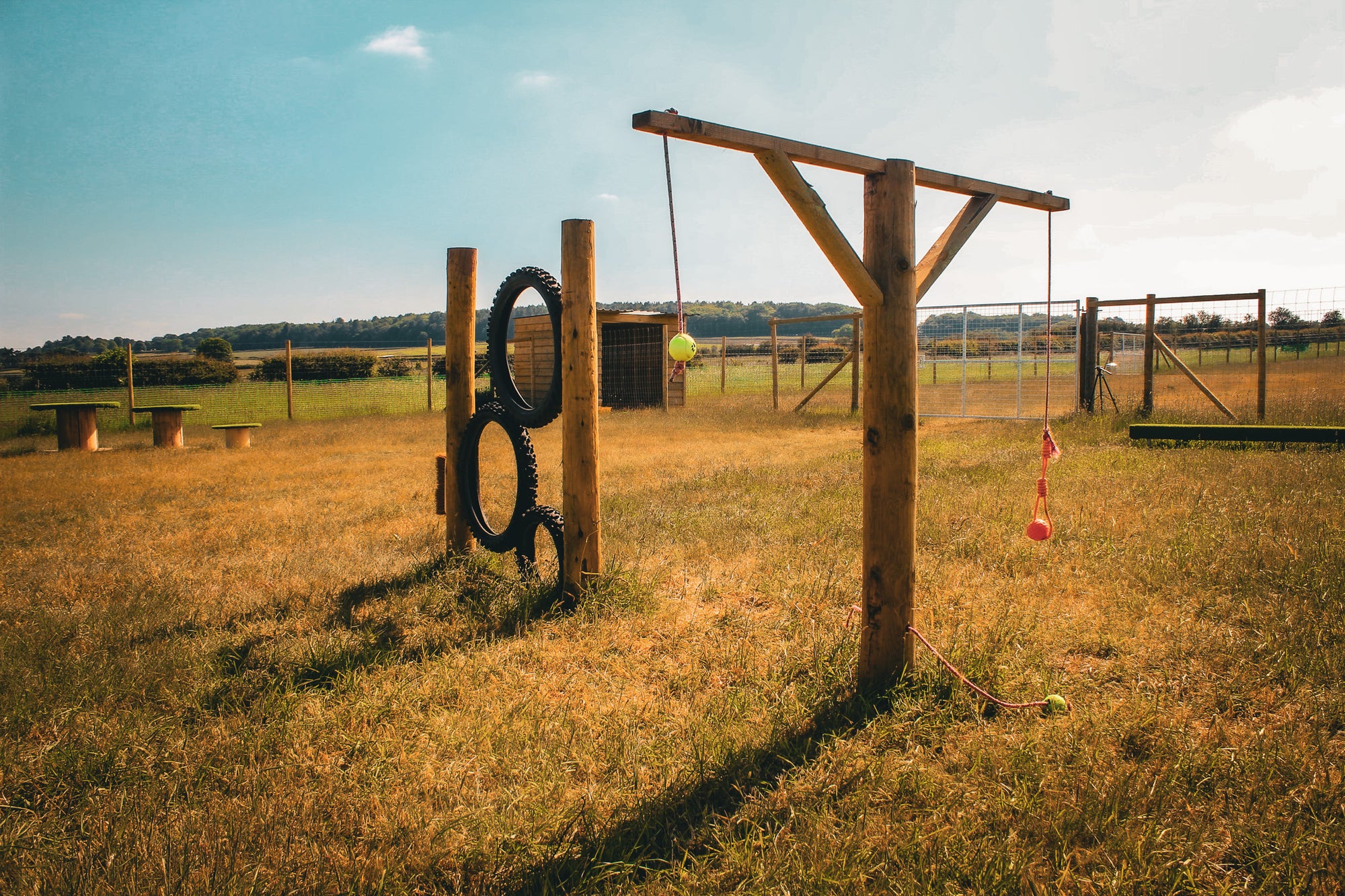 Stash Stables Livery & Dog Park – Stash Stables Livery & Dog Park