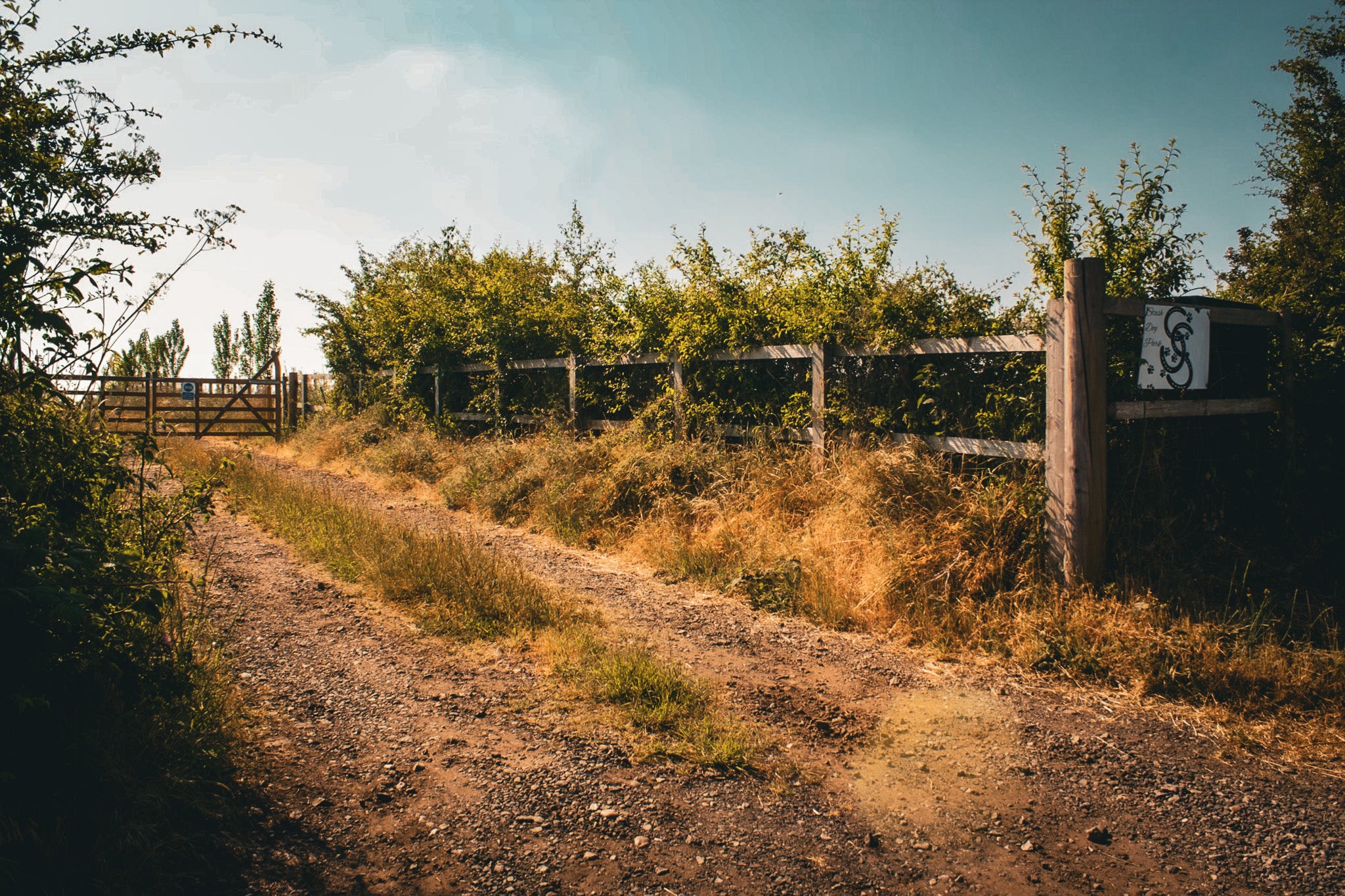 Stash Stables Livery & Dog Park – Stash Stables Livery & Dog Park