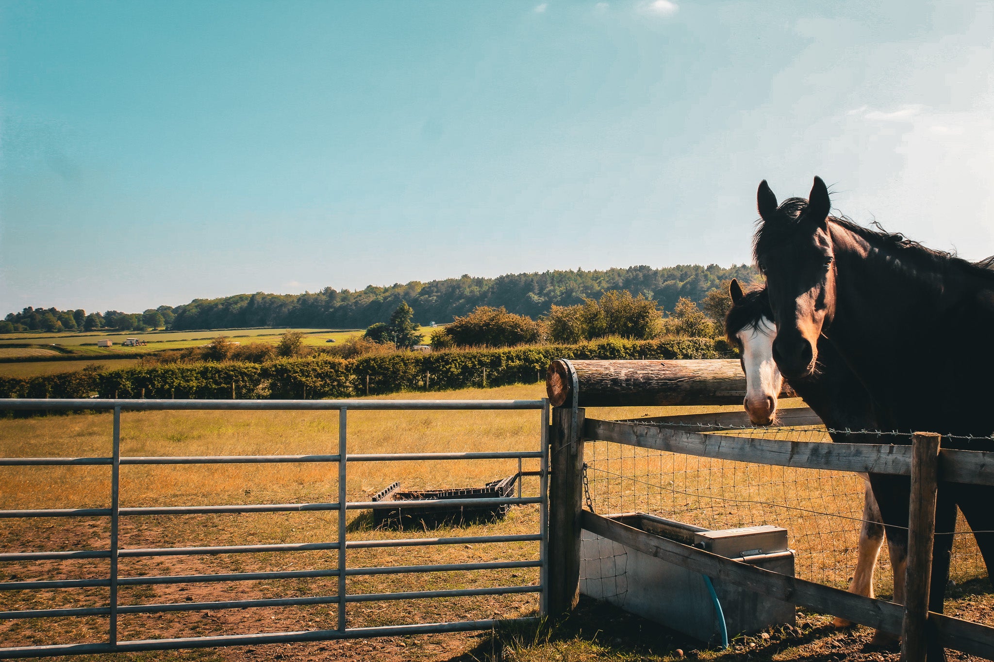 Stash Stables Livery & Dog Park – Stash Stables Livery & Dog Park