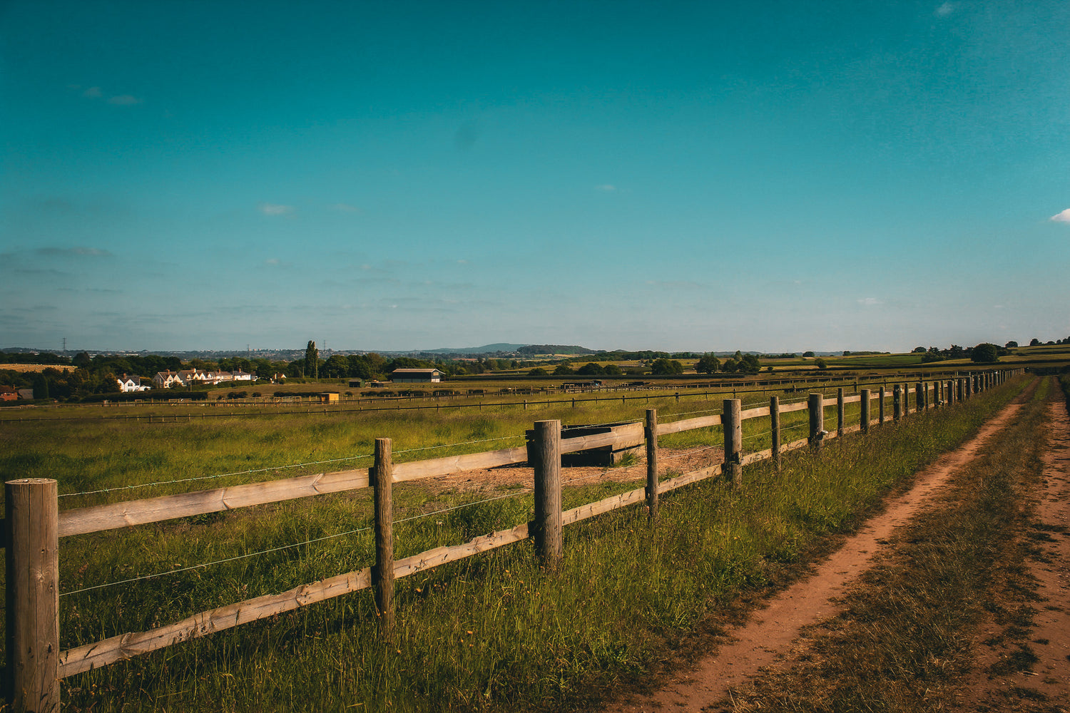 Livery – Stash Stables Livery & Dog Park