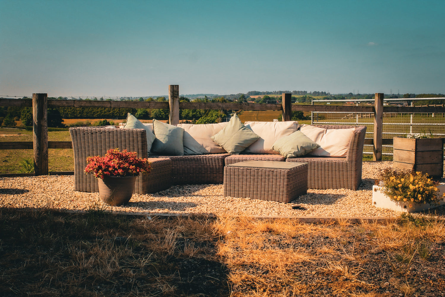 Livery – Stash Stables Livery & Dog Park